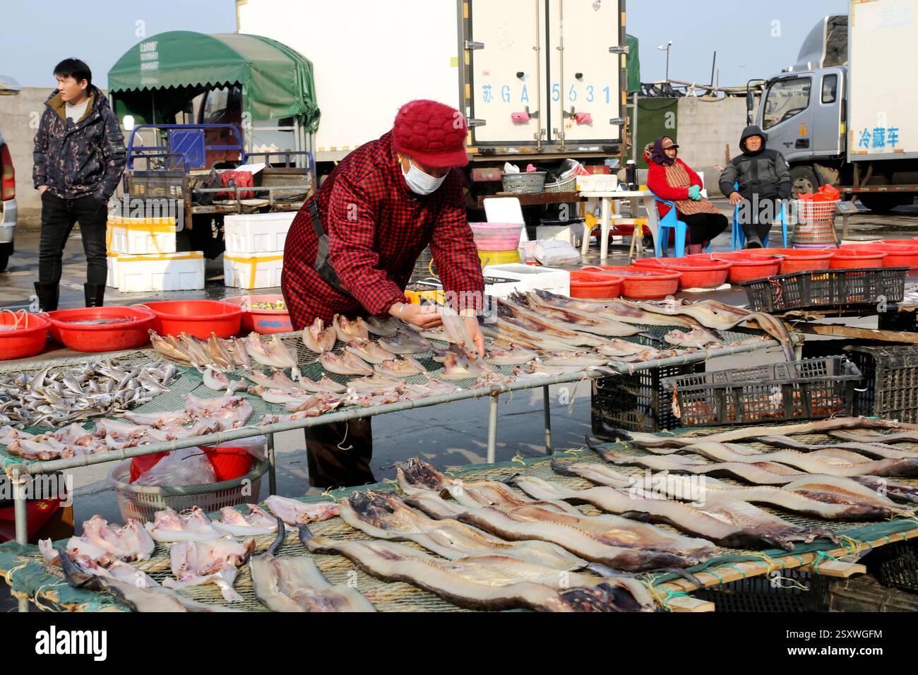 Fishermen dry fish in the sun in Lianyungang City, east China's Jiangsu ...