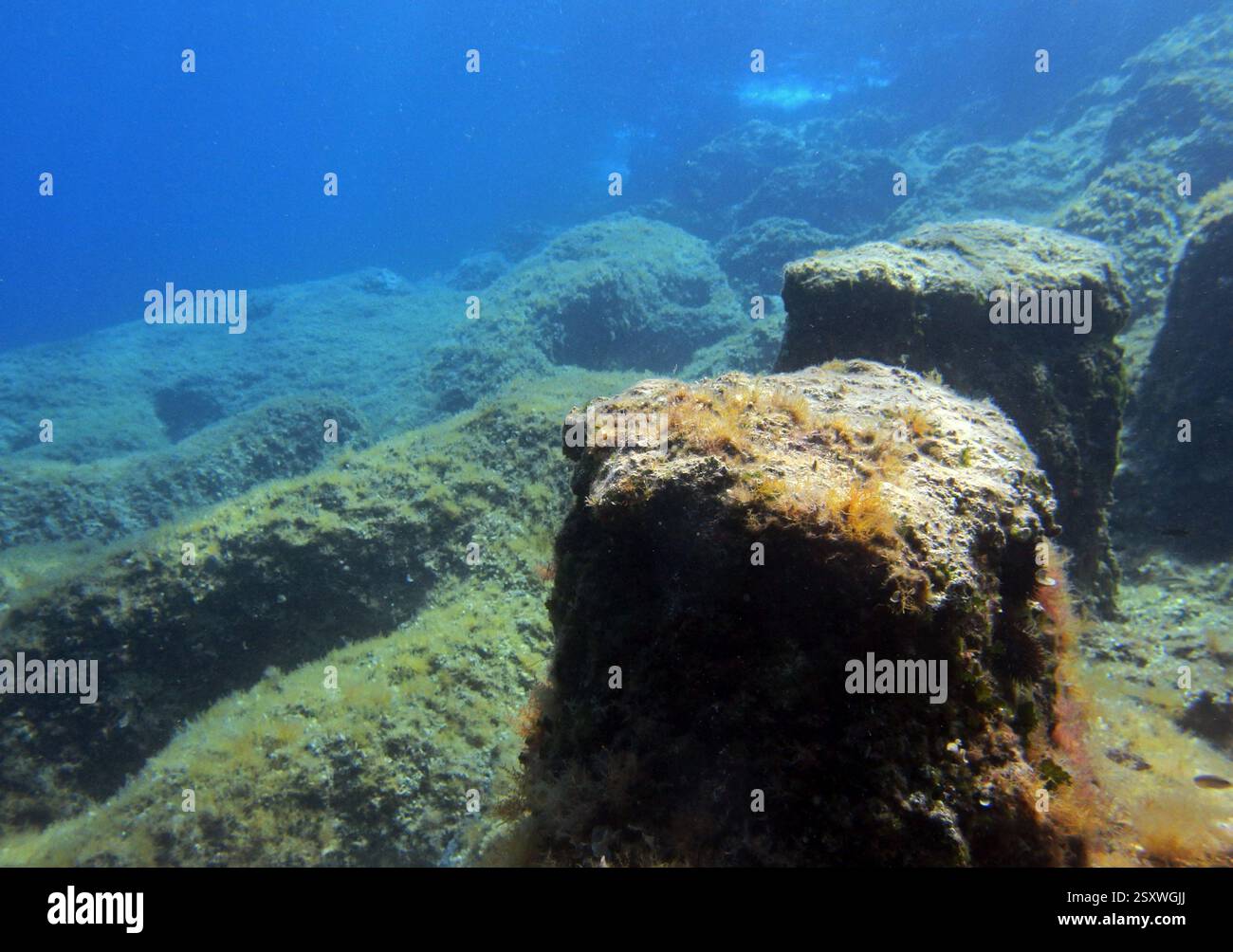 Underwater landscape - rock formations in Adriatic sea near Hvar island ...