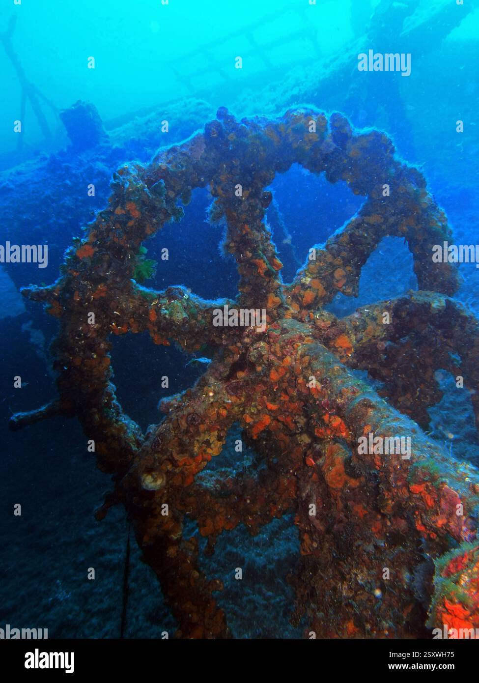 The Wreck of the Teti, near Vis Island, Adriatic sea, Croatia Stock ...