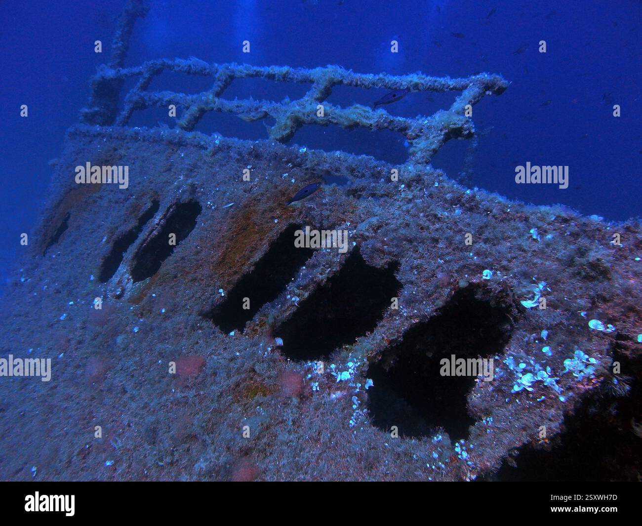 The Wreck of the Teti, near Vis Island, Adriatic sea, Croatia Stock ...