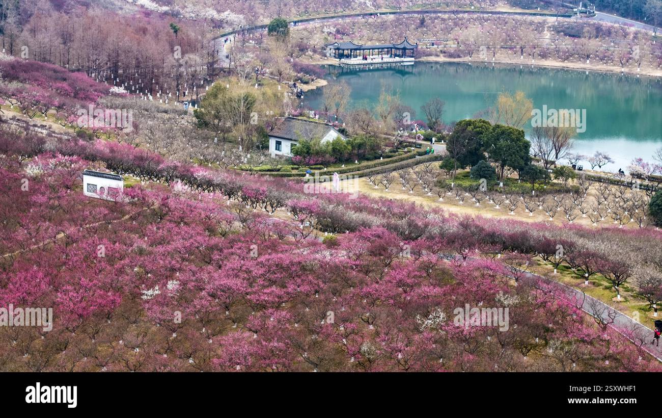 Aerial photo shows the early spring scenery in Zhangjiagang City, east ...