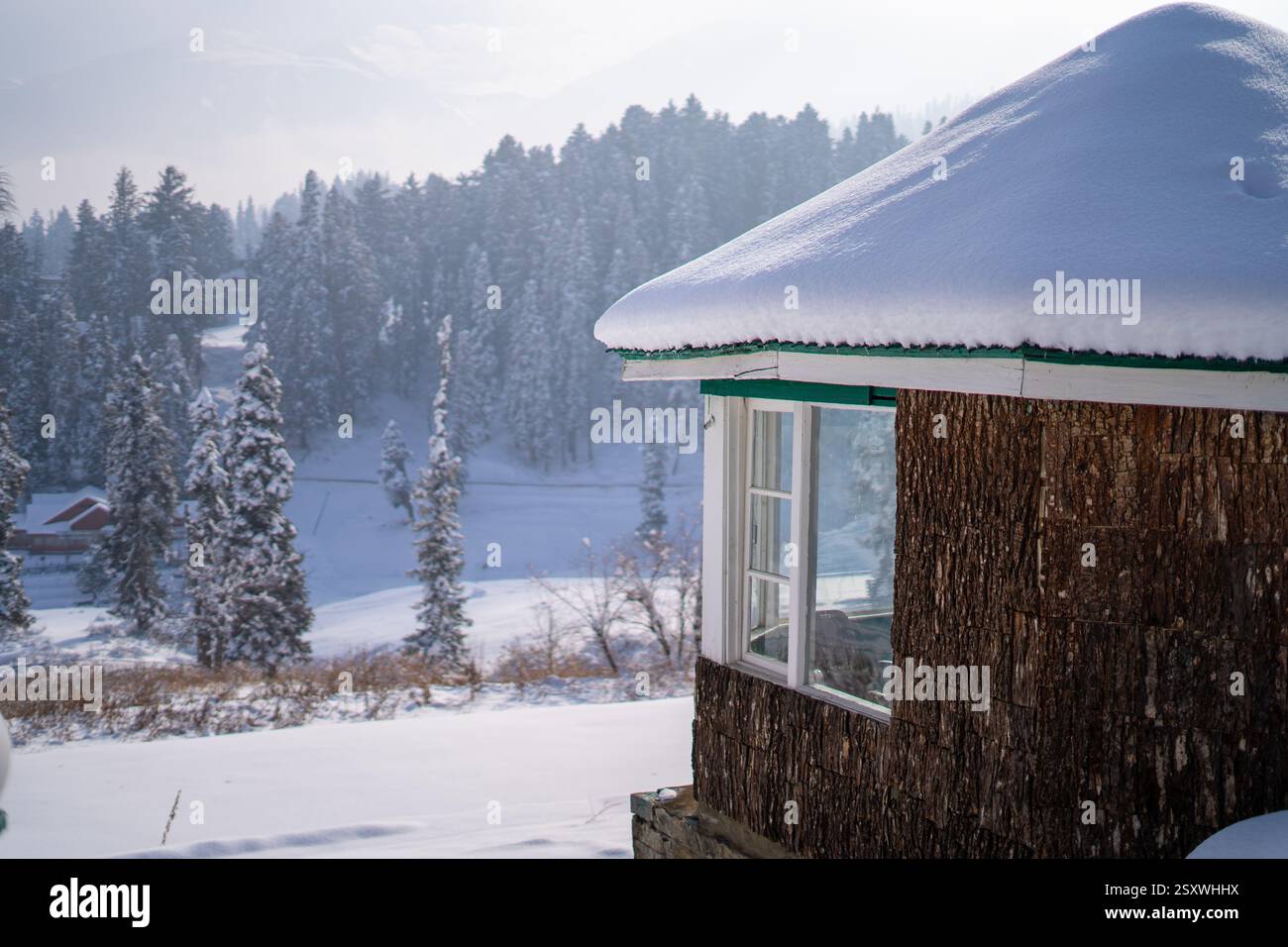 wooden cabin made of deodar wood with glass windows to out of focus ...