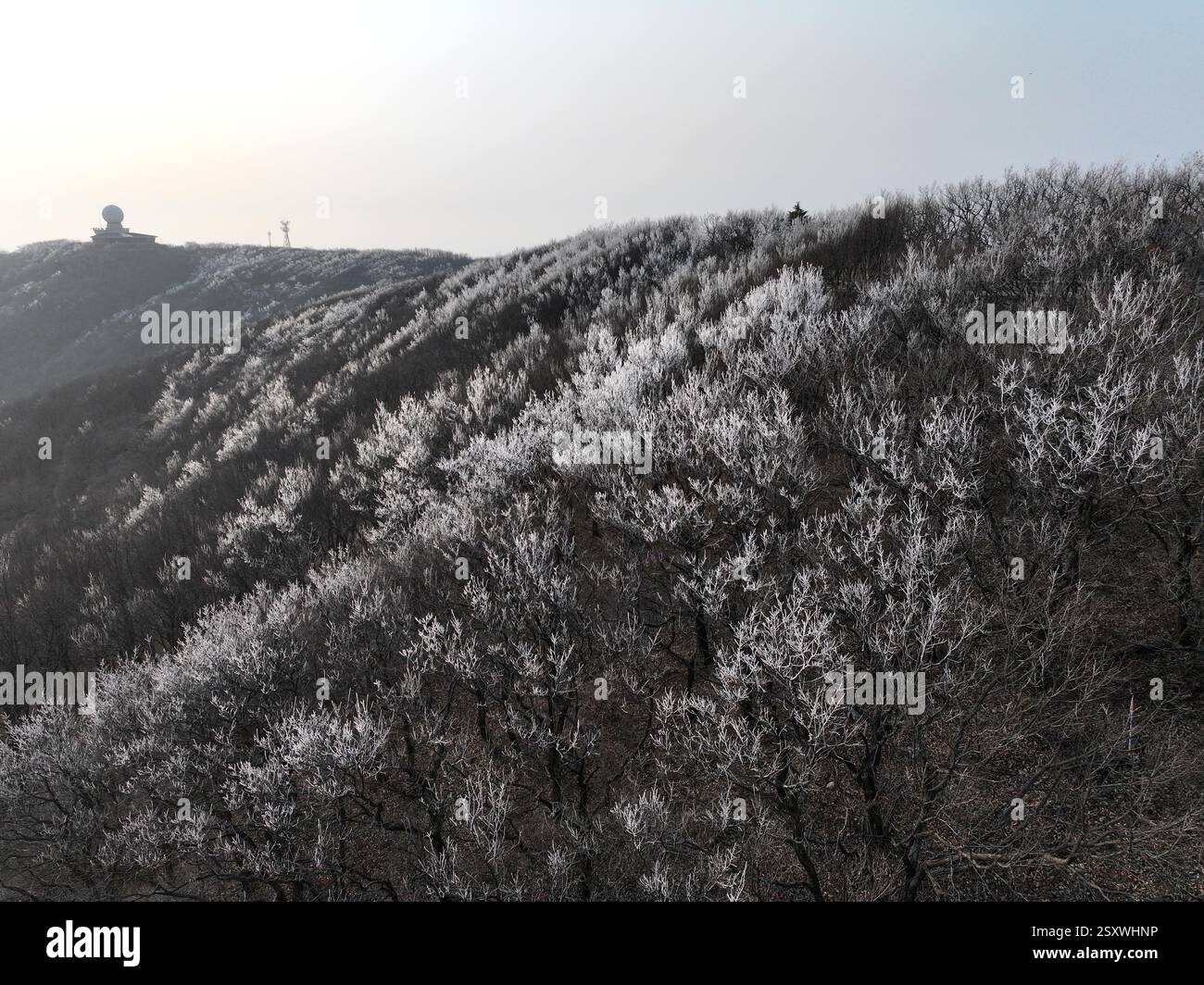 Aerial photo shows the rime scenery of Mount Huaguo in Lianyungang Ctiy ...