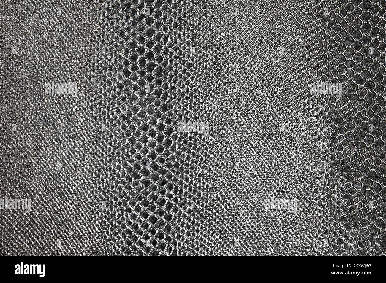 Background showing gray reptile skin with light reflections Stock Photo ...