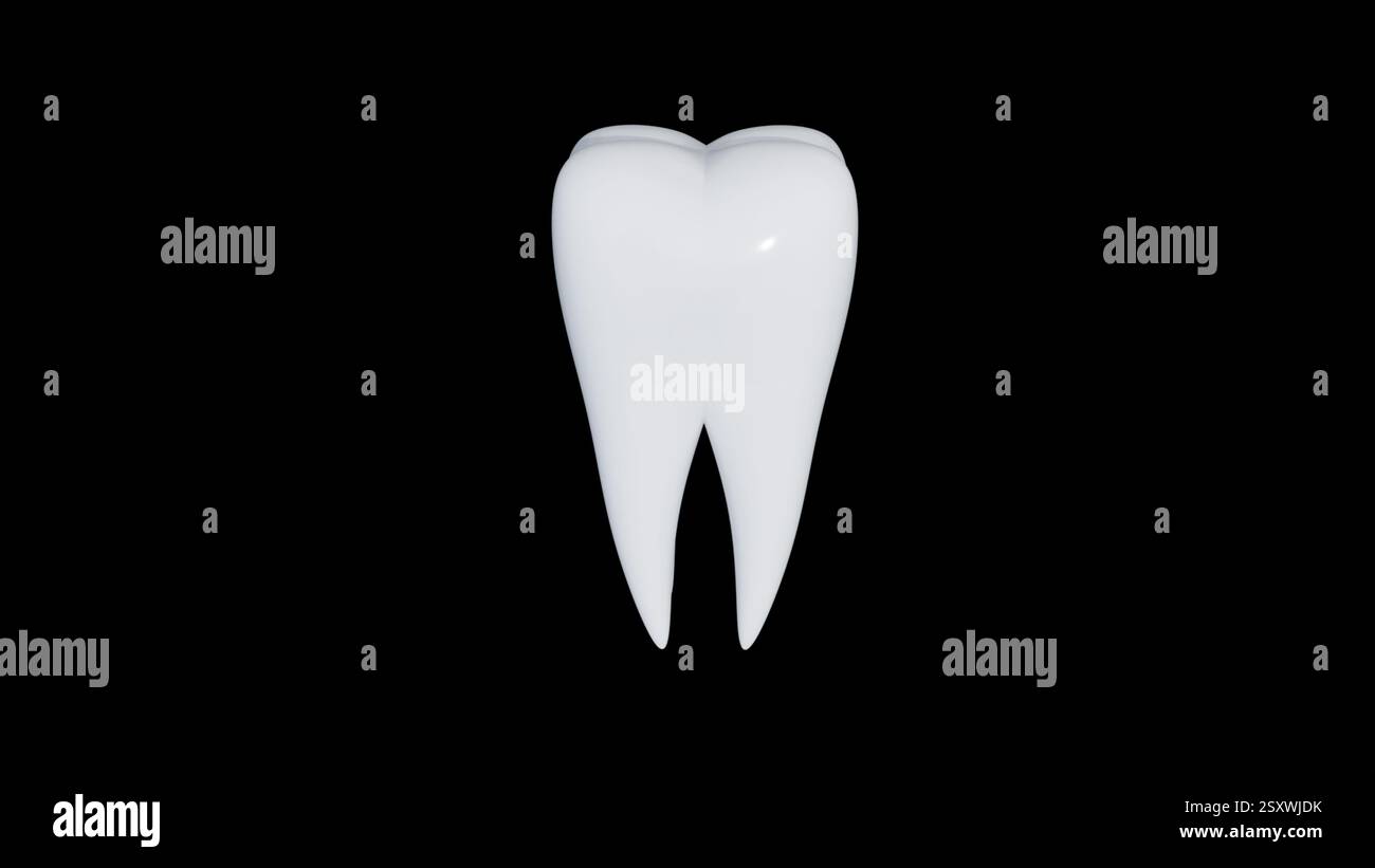 3D model of a white molar tooth on a black background, dentistry, tooth ...