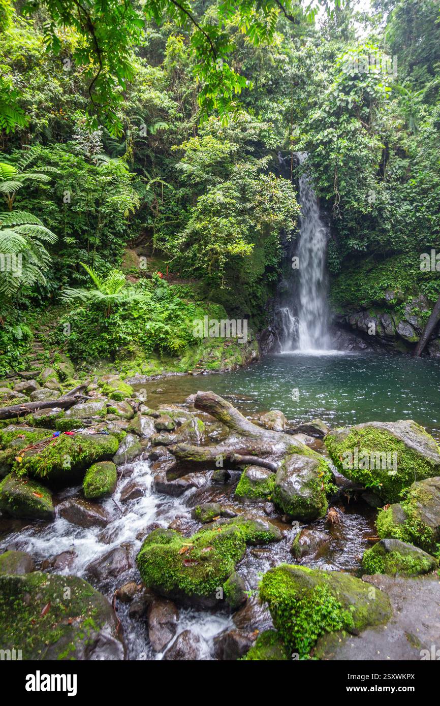 Scenic Malabsay Falls surrounded by lush green vegetation and tropical ...