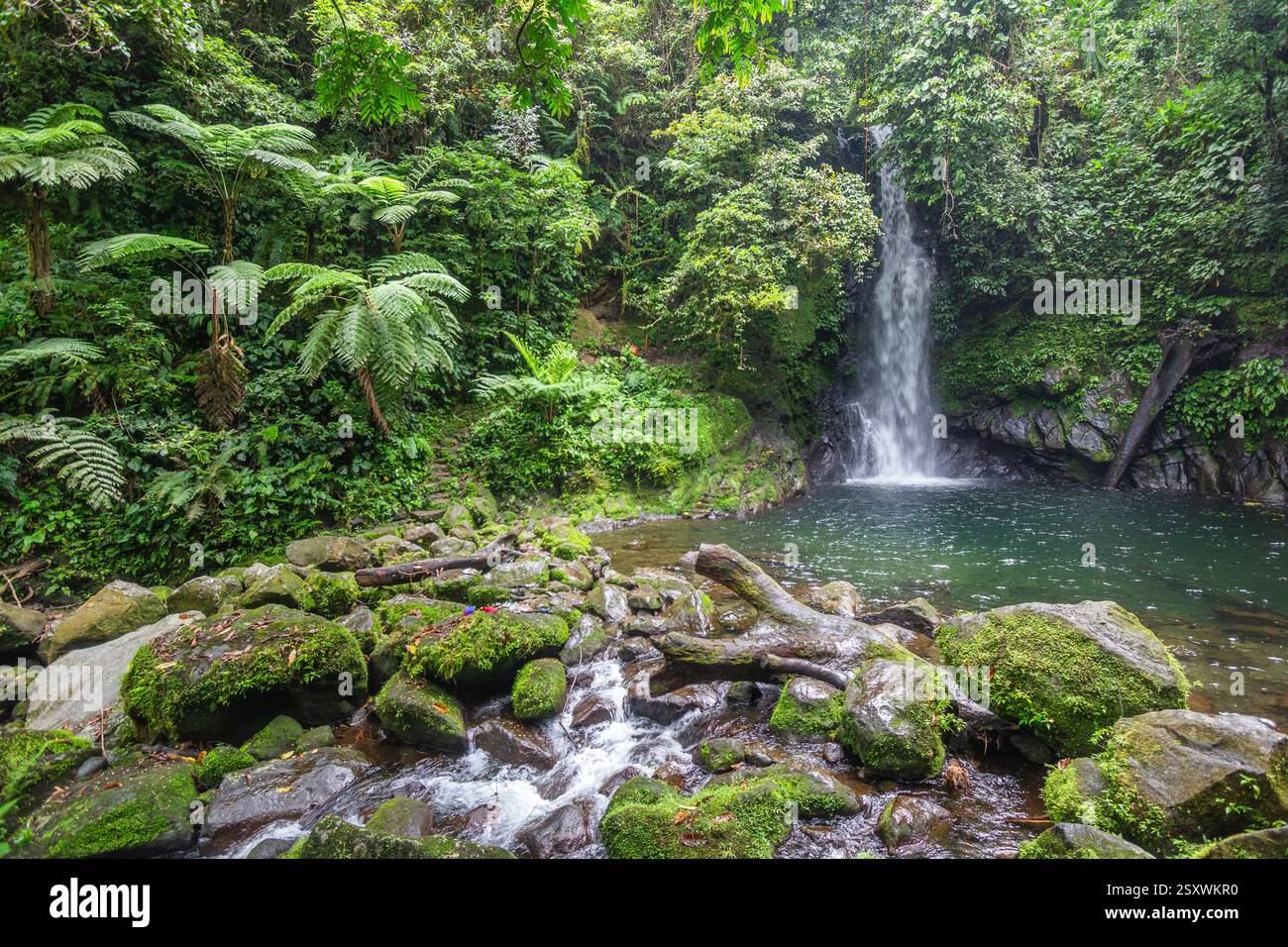 Scenic Malabsay Falls surrounded by lush green vegetation and tropical ...