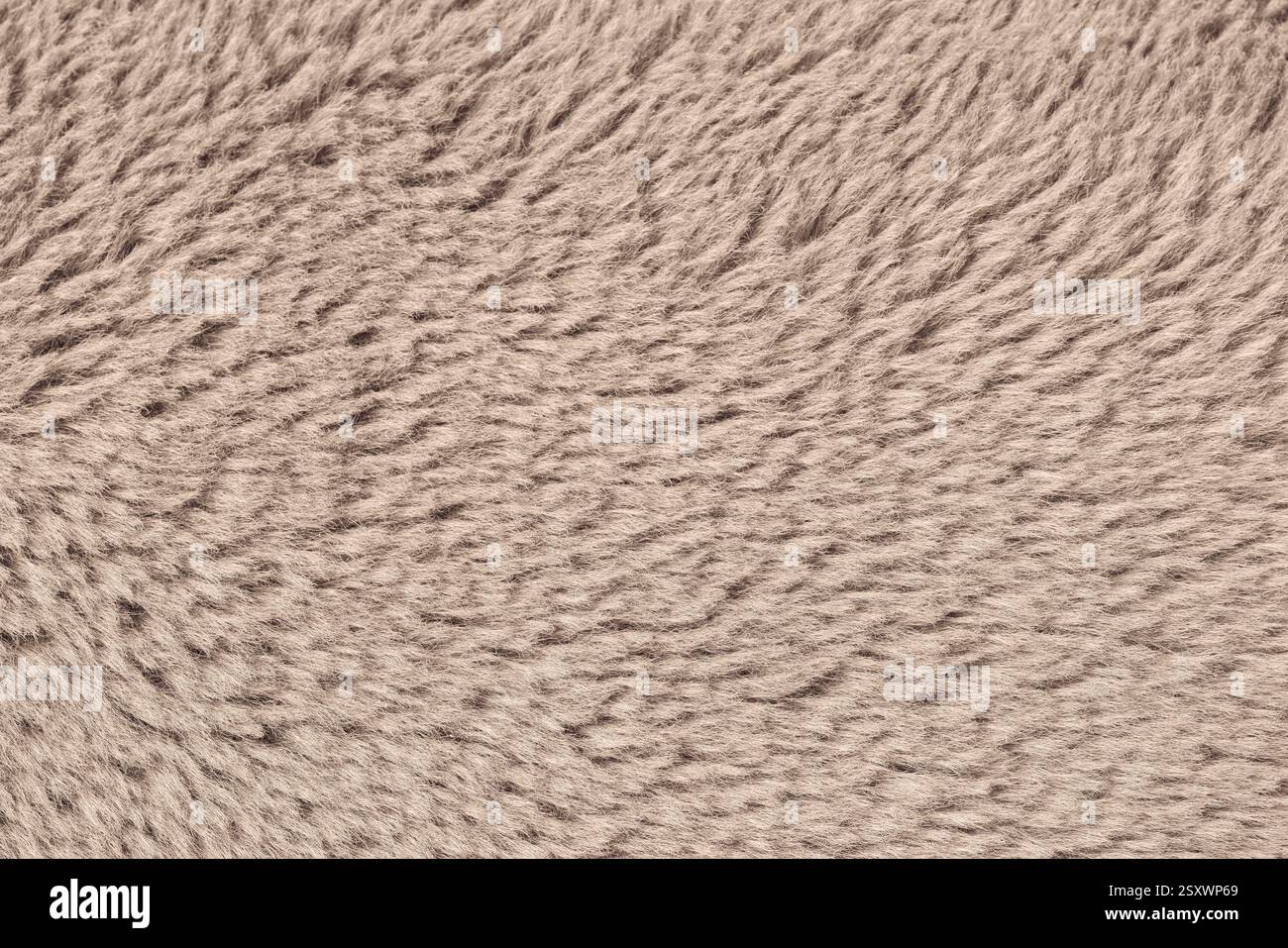 Soft beige short-pile faux fur texture. Perfect for backgrounds ...