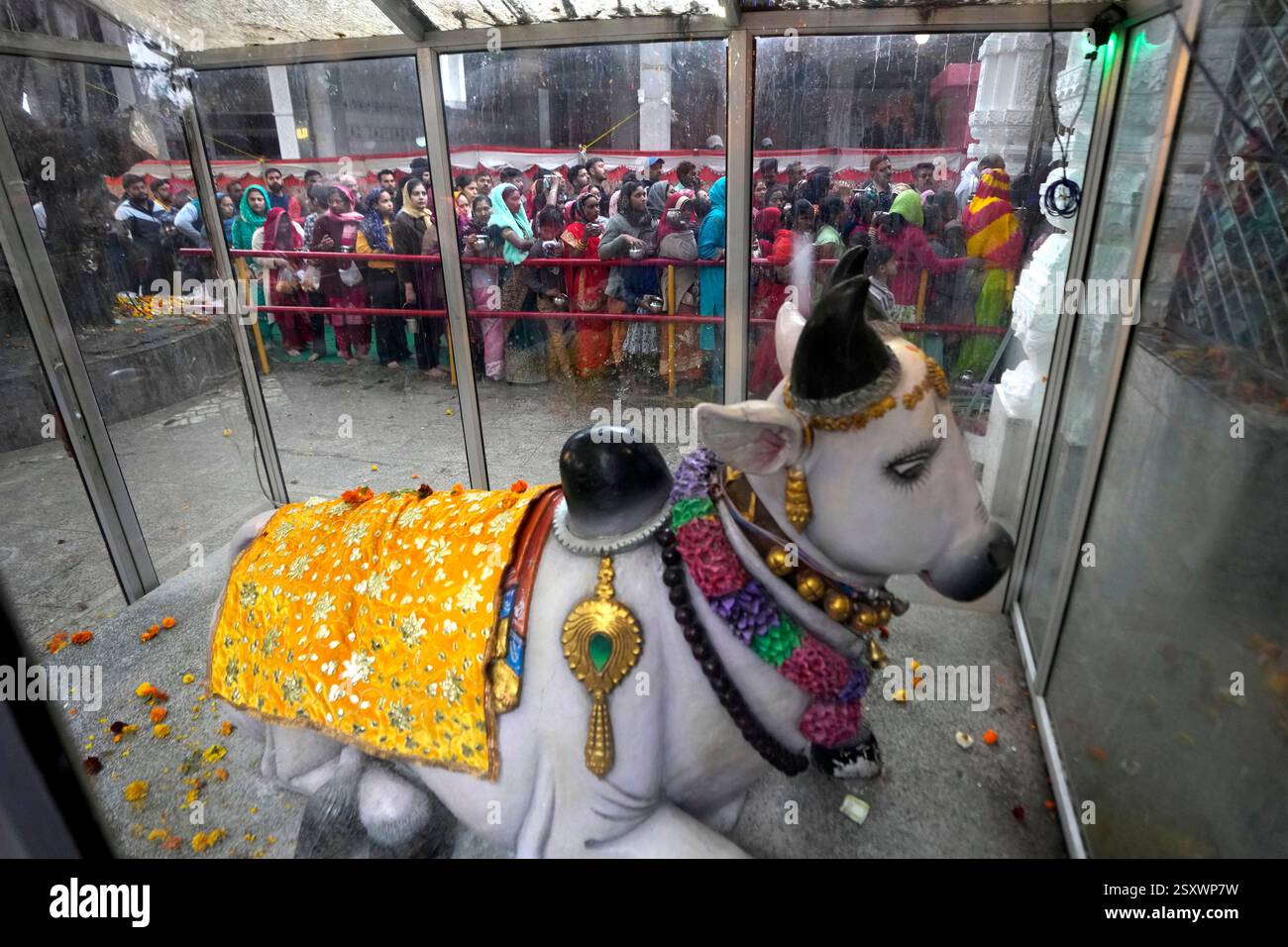 Hindu devotees wait in a queue to offer prayers during Shivaratri ...