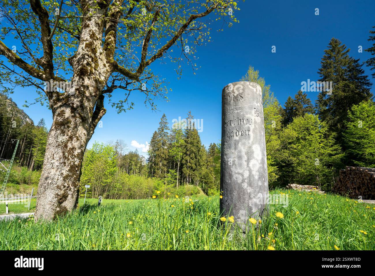 Historic limestone kilometre stone, last quarter of the 19th century in ...
