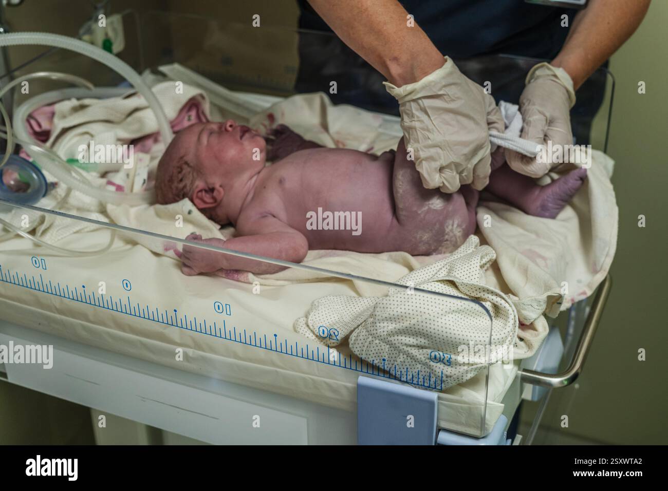 A touching moment of childbirth in a hospital. Doctors and staff assist ...