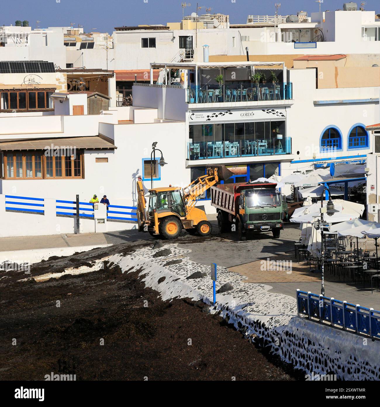 Workers using a JCB clearing invasive seaweed from choking the town ...