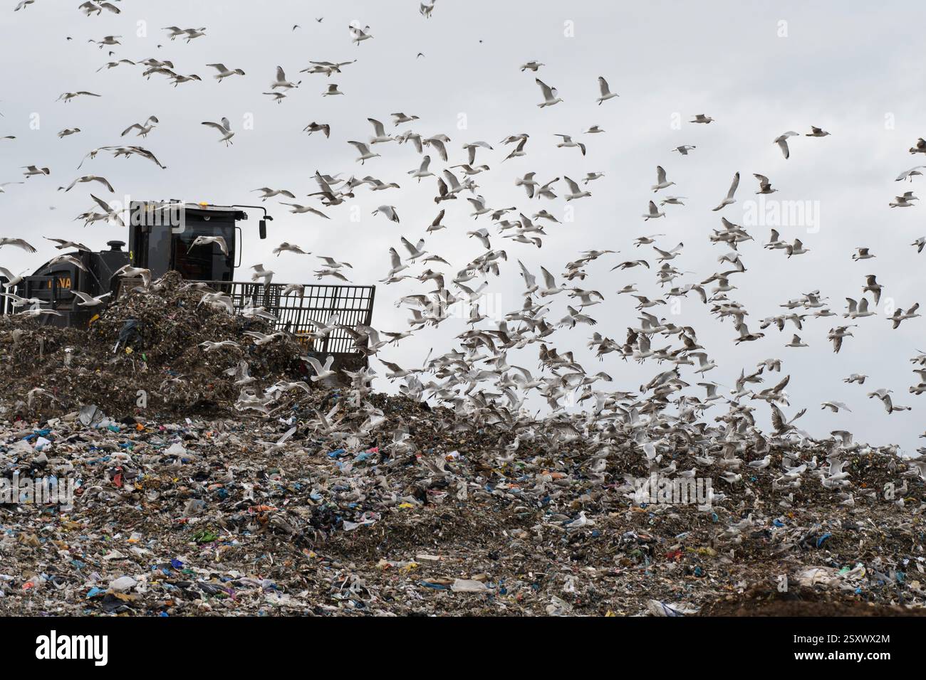 Taking waste to the tip hi-res stock photography and images - Alamy