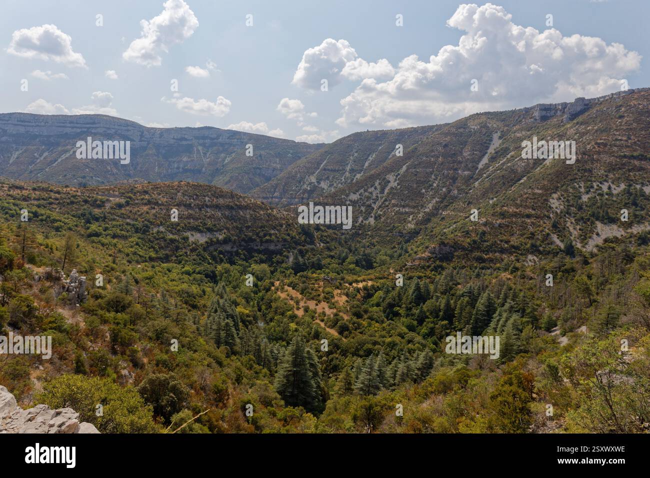 Canyon of the river Vis in the the departments Gard / Hérault in France ...