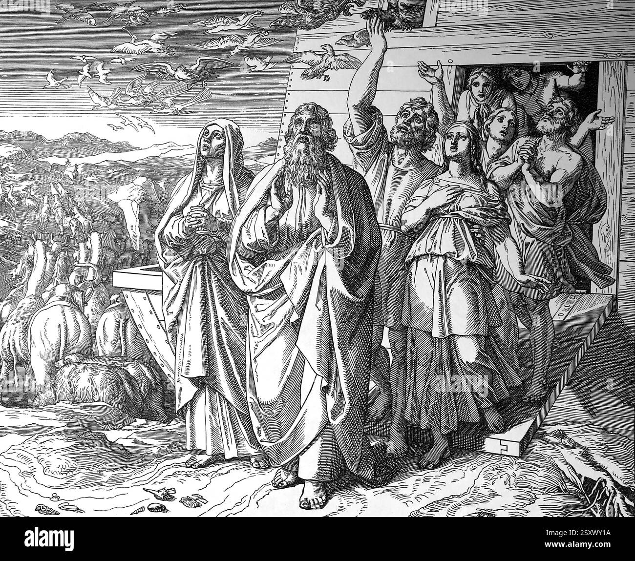 Old Testament. Ham is cursed by his father. Genesis. Illustration by J ...