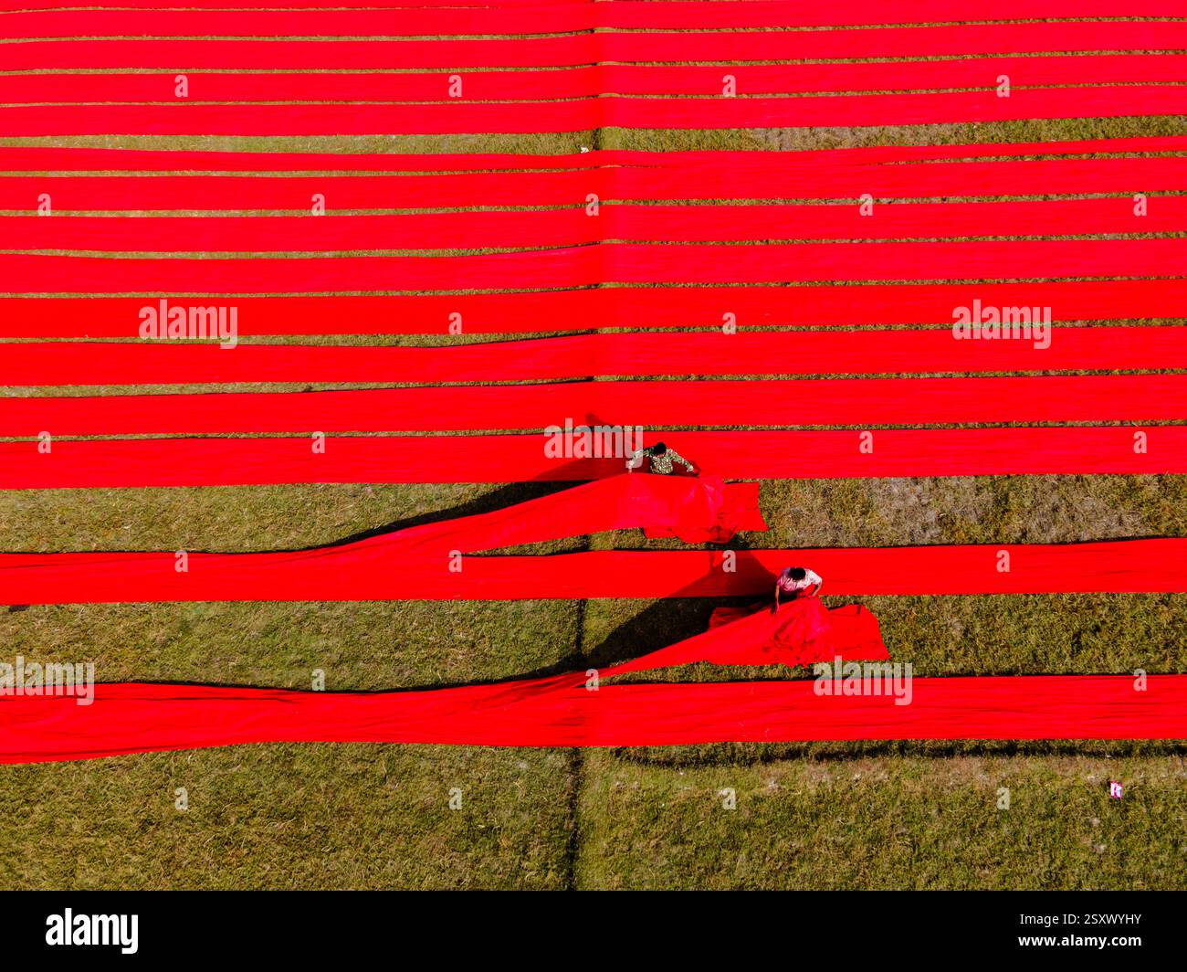 Aerial view of workers stretching out red cloth on a field. This fabric ...
