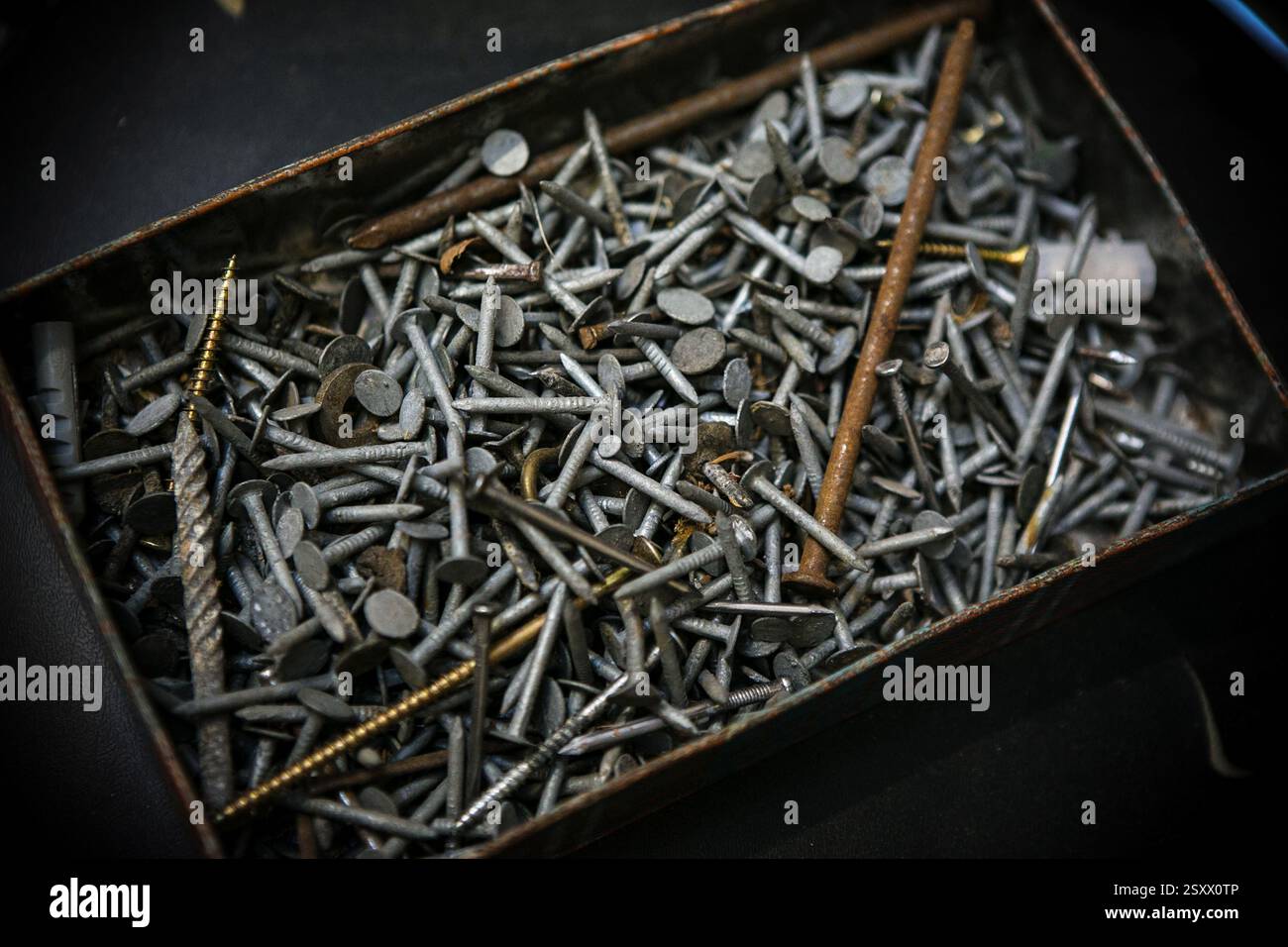 Assorted Nails and Screws in a Metal Container Close-Up Shot Stock ...