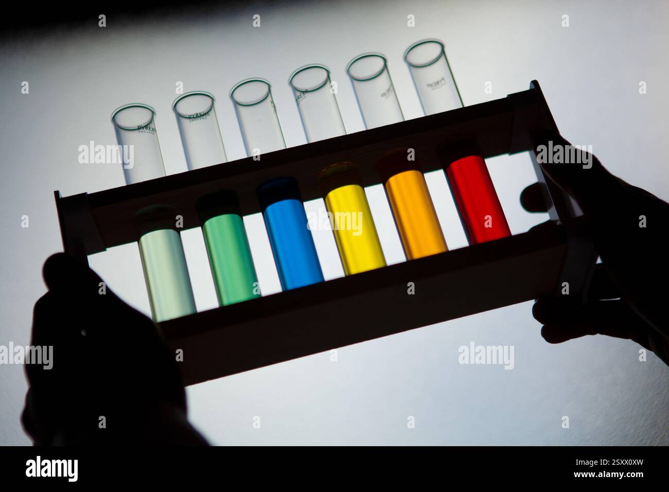 Colorful Test Tubes in a Wooden Holder on a Bright Background Stock ...