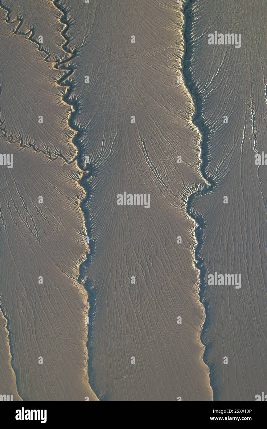 Wetlands grass and tidal mud at Old Passage on the river Severn UK ...