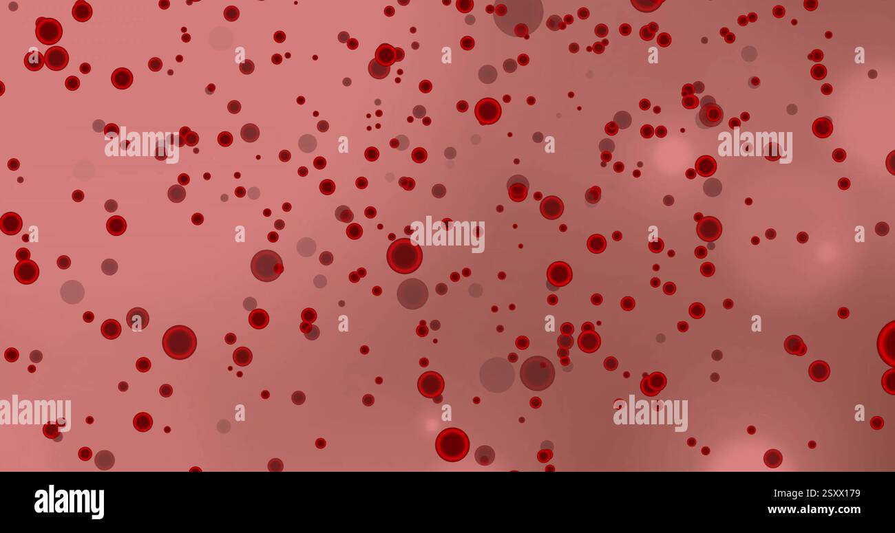 Image of blood cells and light spots on pink background Stock Photo - Alamy