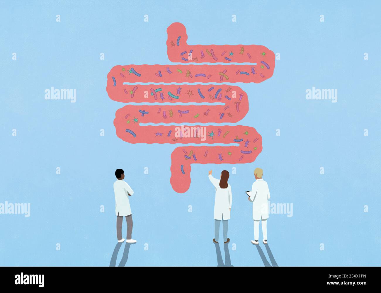 Bacteria in human digestive system hi-res stock photography and images ...