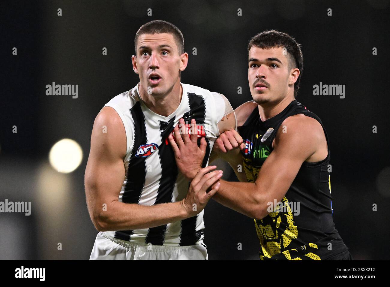 Melbourne, Australia. 26th Feb, 2025. Darcy Cameron of Collingwood ...