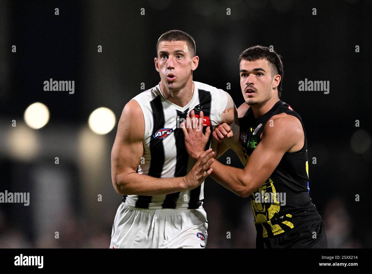 Darcy Cameron of Collingwood (left) and Harry Armstrong of Richmond ...