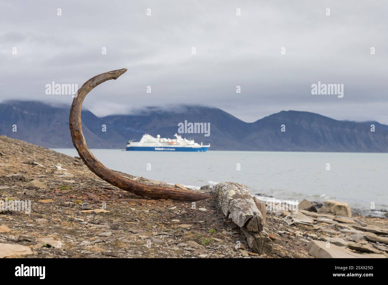 Old anchor and cruise ship at the Bamsebu whaling station on the ...