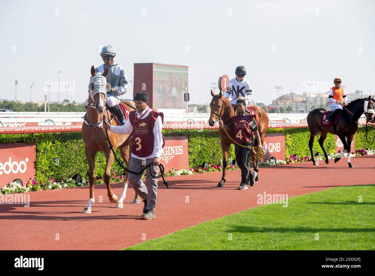 Amir sword Cup. Horse Race. in Racing and Equestrian club in Al Rayyan ...