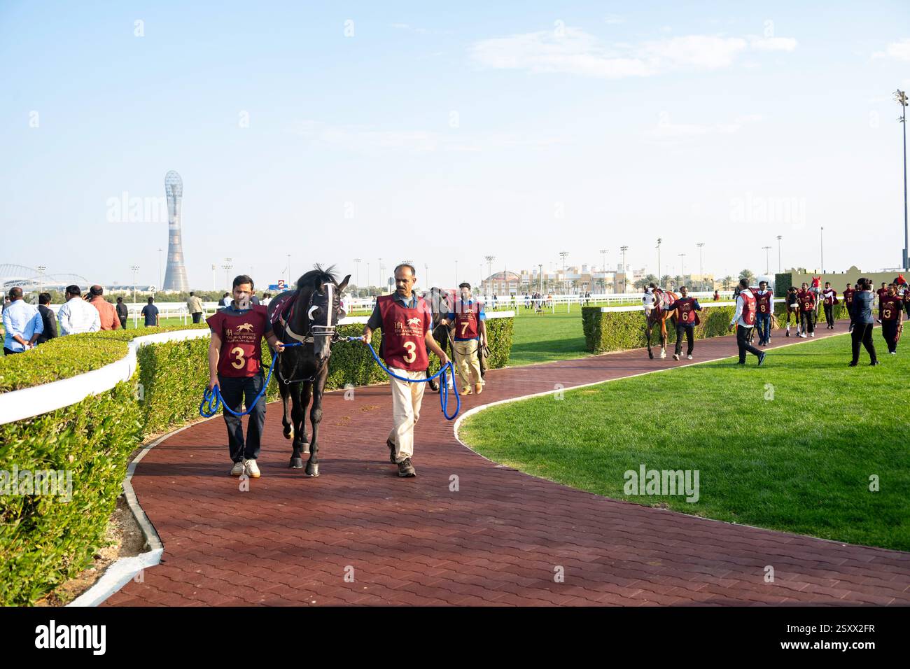 Amir sword Cup. Horse Race. in Racing and Equestrian club in Al Rayyan ...