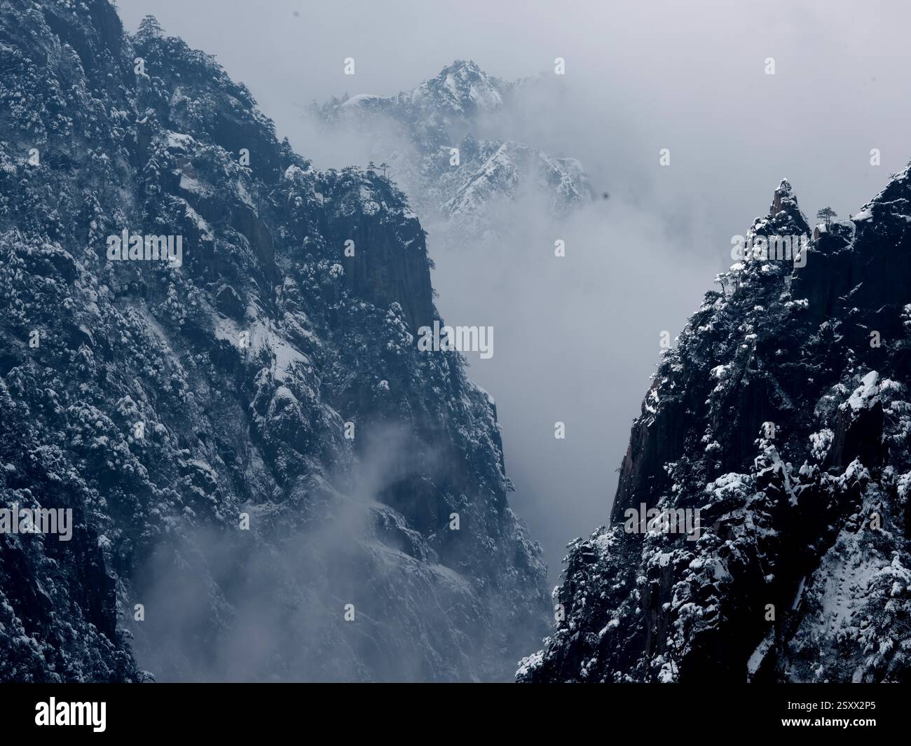 Snow scenery of the Huangshan Mountain in Huangshan City, east China's Anhui Province, 23 ...