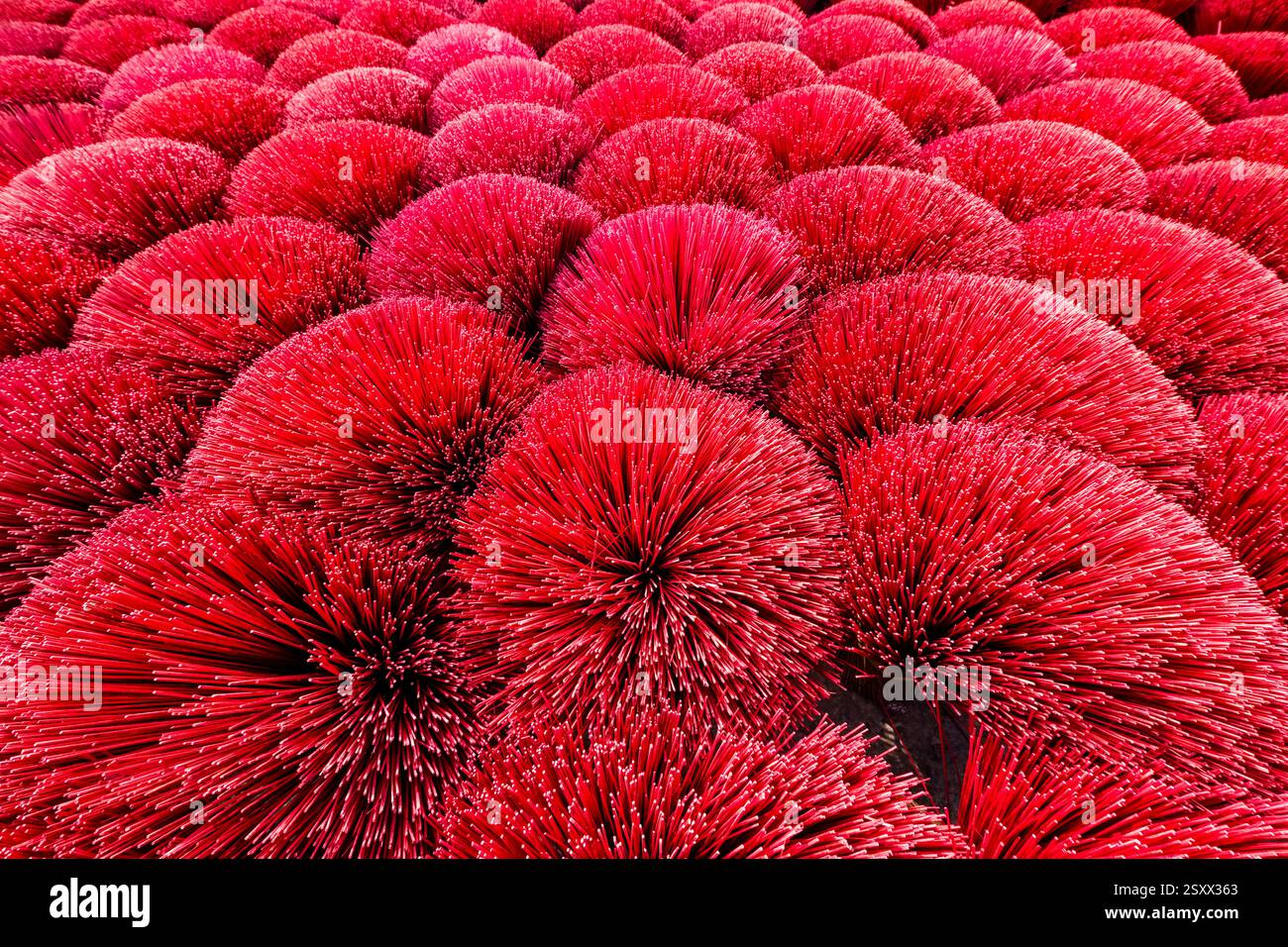 Red-coloured thin bamboo sticks in bundles for the production of ...