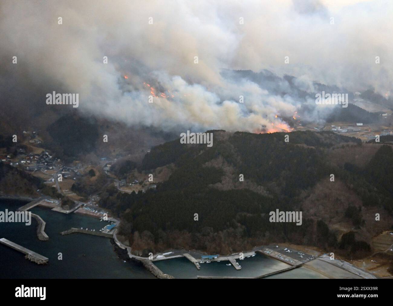 Aerial photo shows forest fire, February 26, 2025, in Ofunato City ...