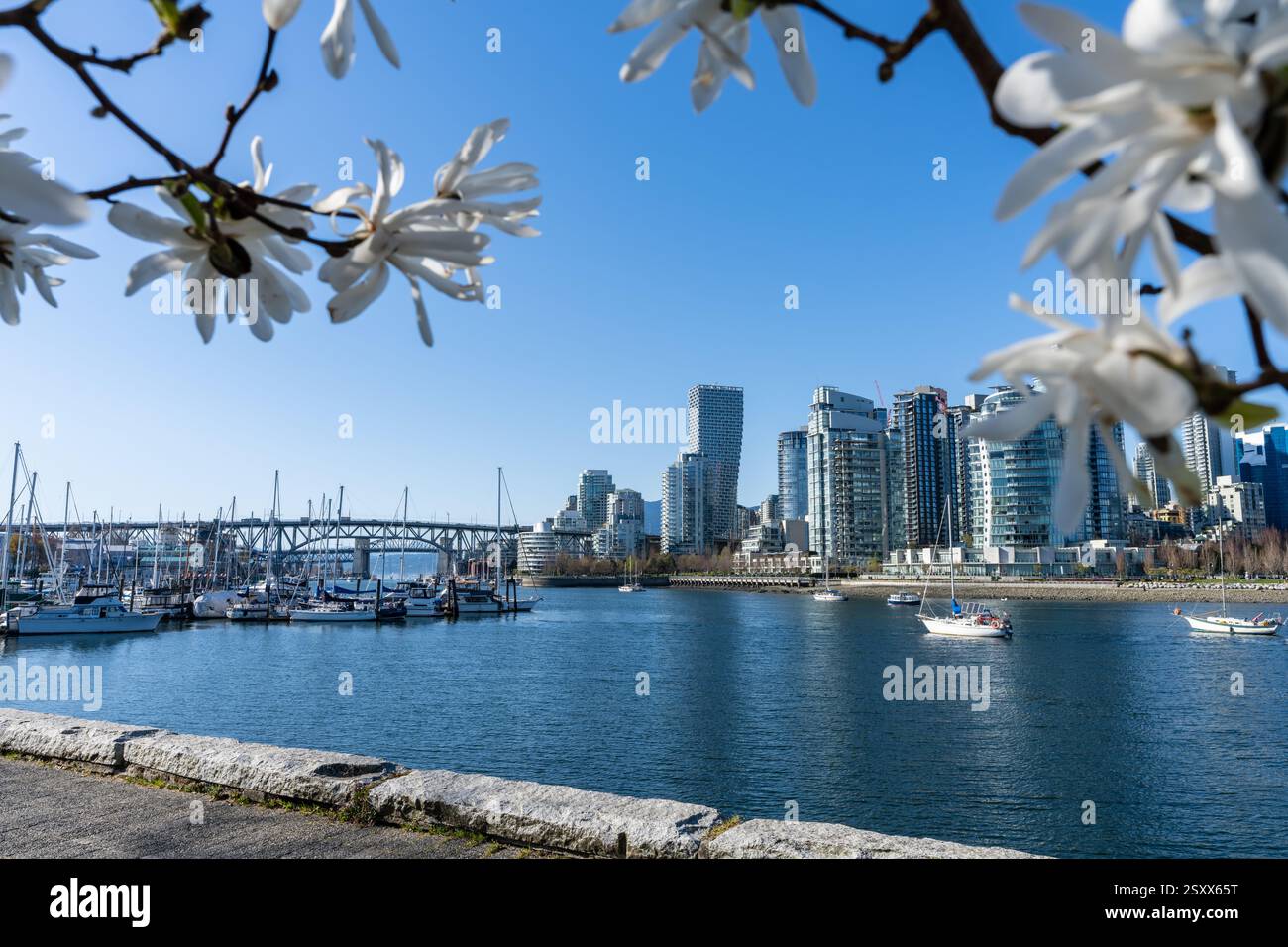 Charleson Park seawall trail in springtime. False Creek Vancouver ...