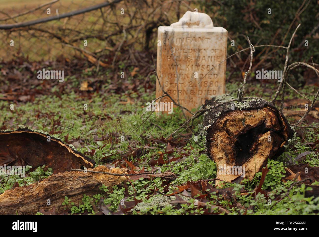 Flint TX - December 29, 2024: Broken and Damaged Headstones in Loftin ...