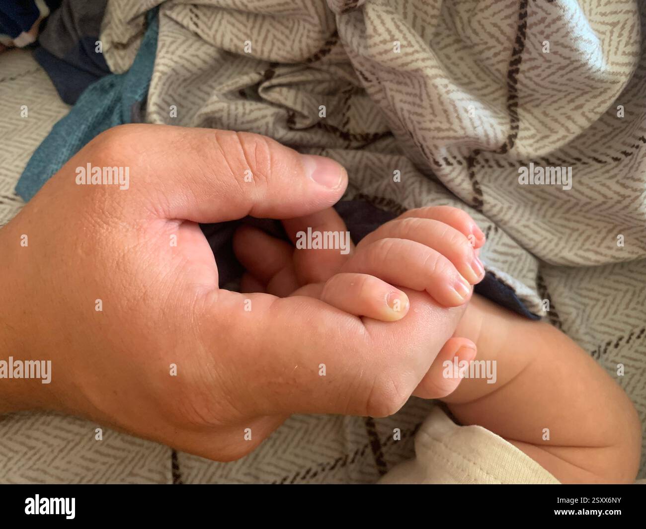 The delicate moment of a baby's tiny hand gently gripping an adult's ...