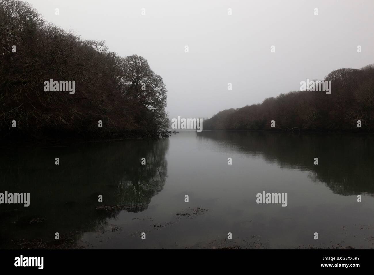 Creeping creek hi-res stock photography and images - Alamy