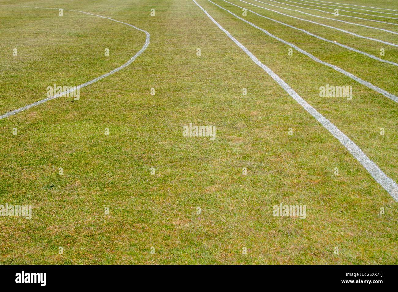 Carefully tended and close cut playing field grass at Framlingham ...