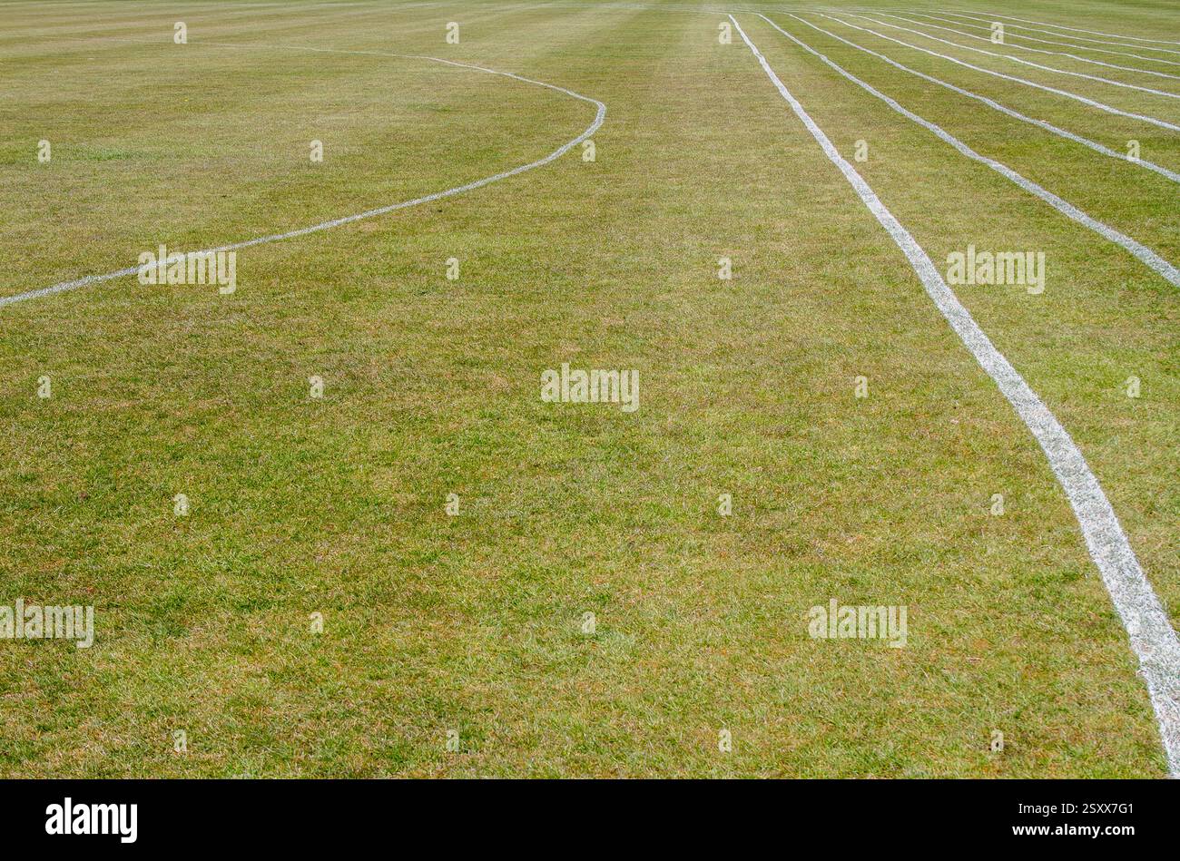 Carefully tended and close cut playing field grass at Framlingham ...