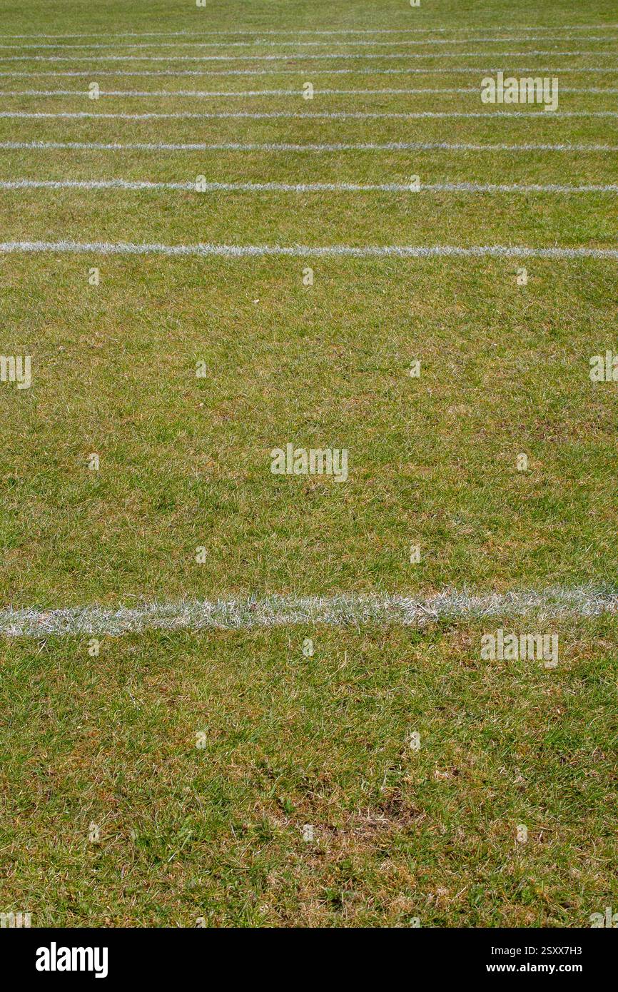 Closely cropped grass hi-res stock photography and images - Alamy