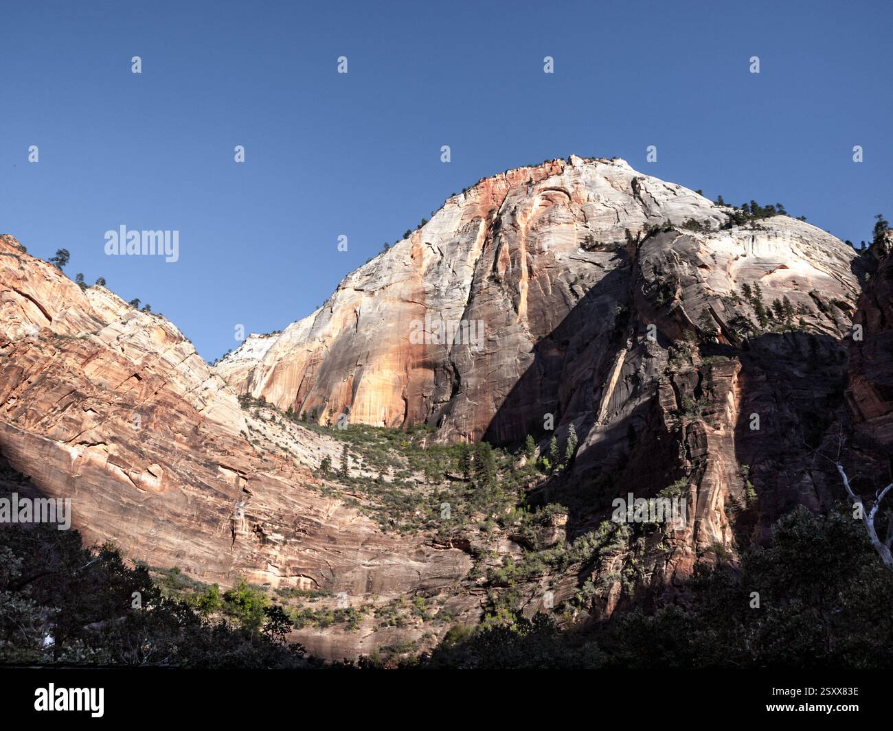 Zion rockfall hi-res stock photography and images - Alamy