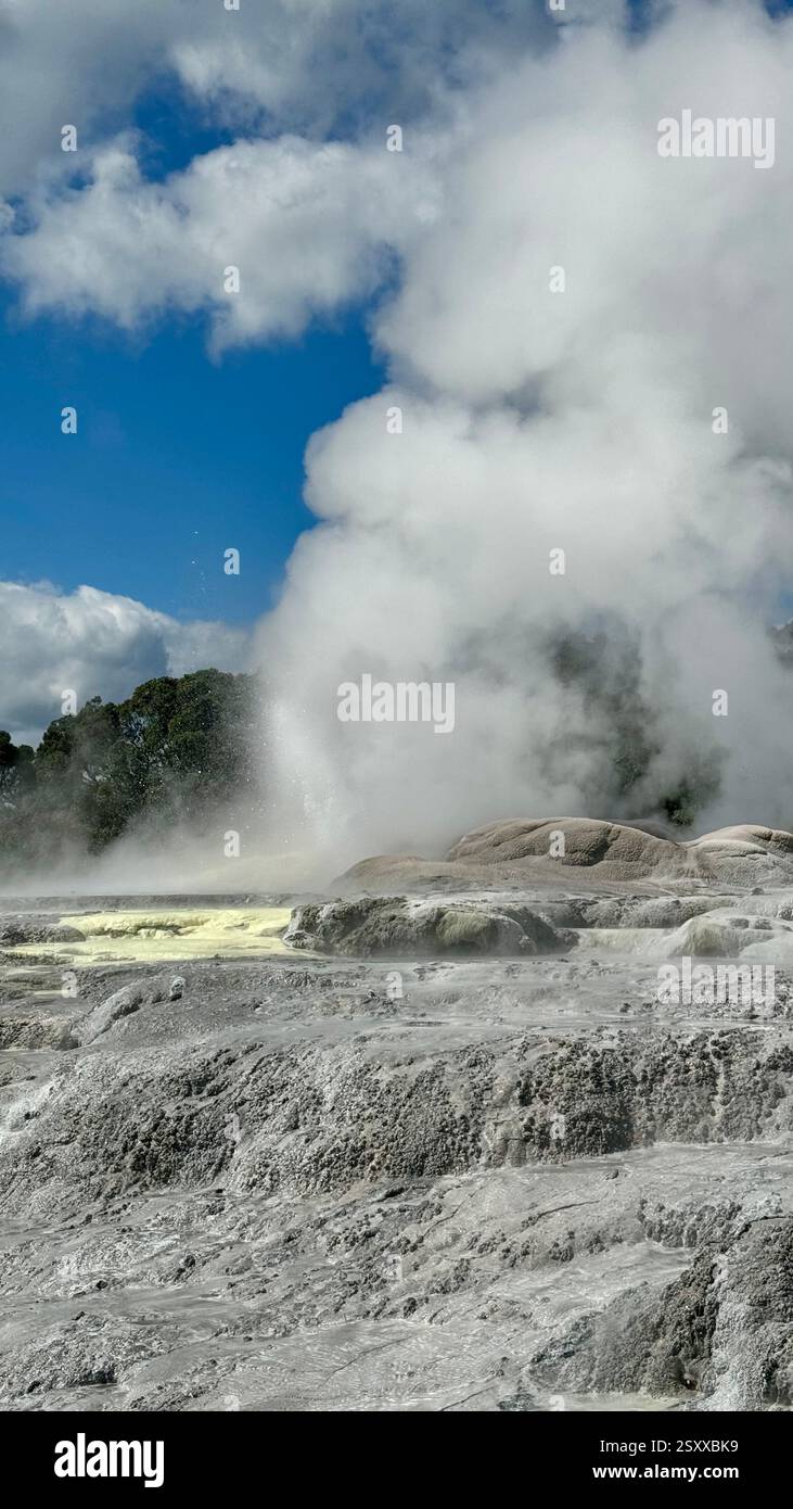 Active geyser at Whakarewarewa Rotorua New Zealand Stock Photo - Alamy