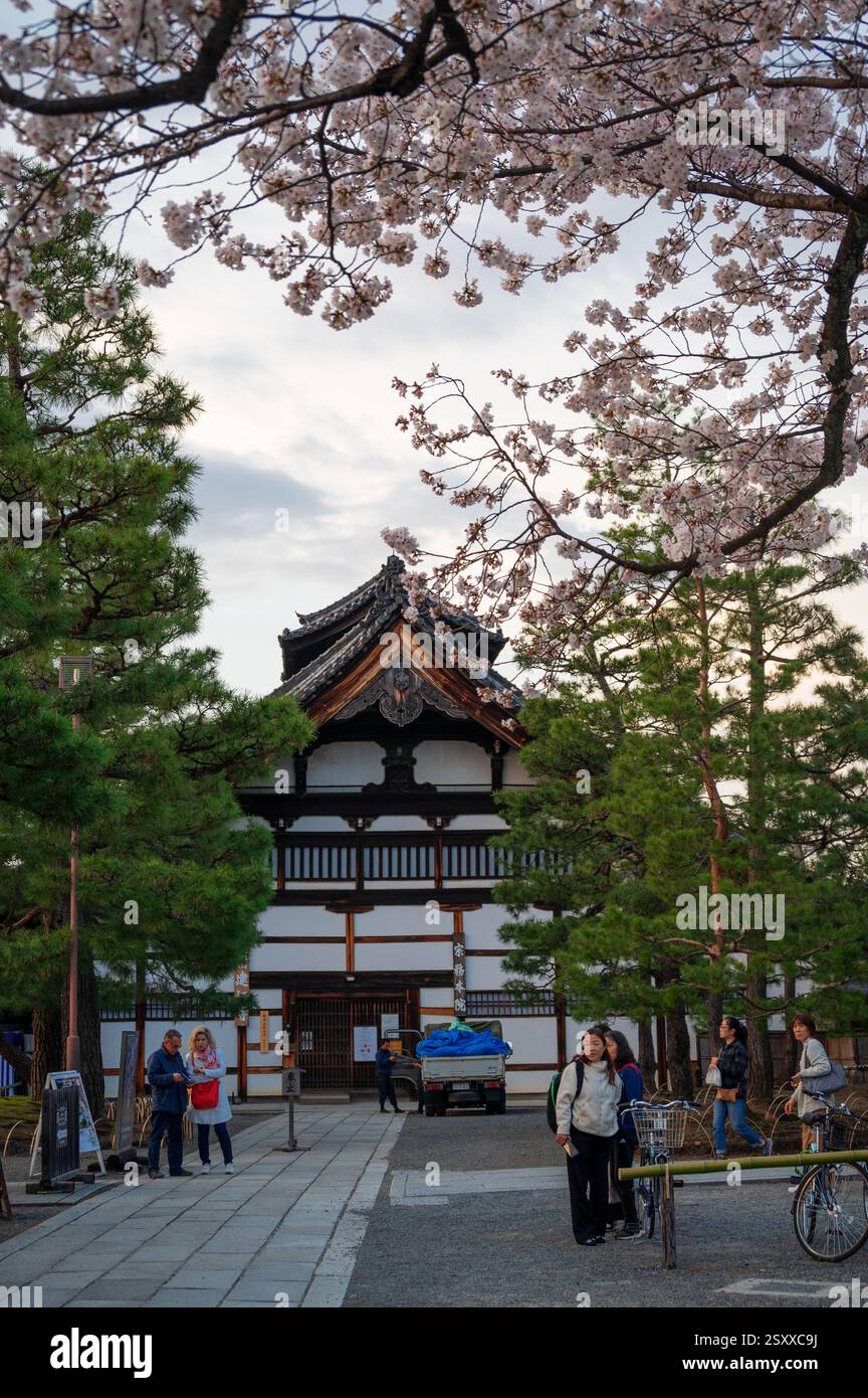 Hanami kyoto hi-res stock photography and images - Alamy
