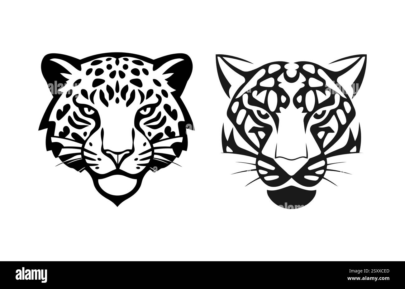 Jaguar Head Vector Illustrations: Realistic and Stylized Designs Stock ...