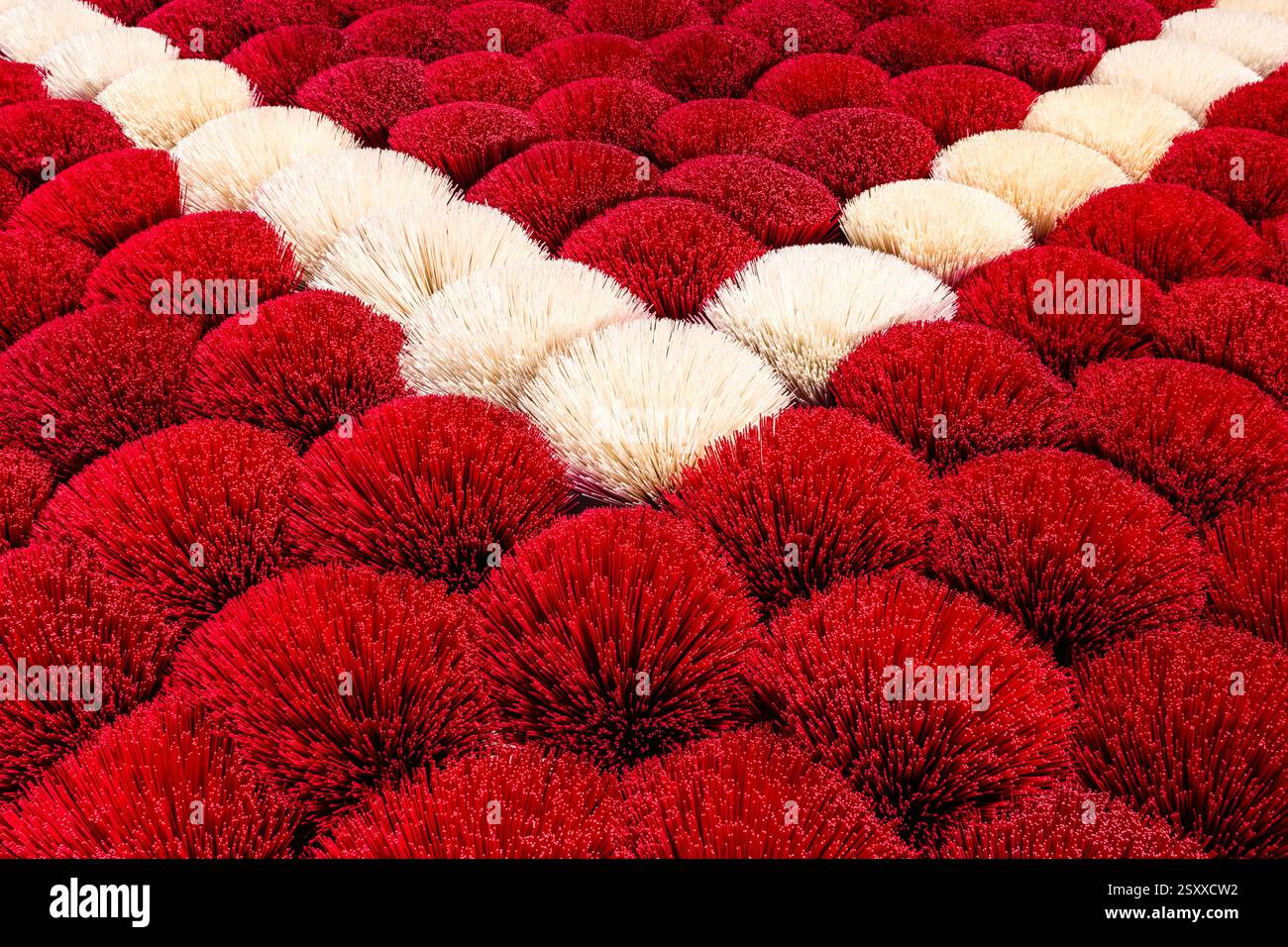 Red and white-coloured thin bamboo sticks in bundles for the production ...