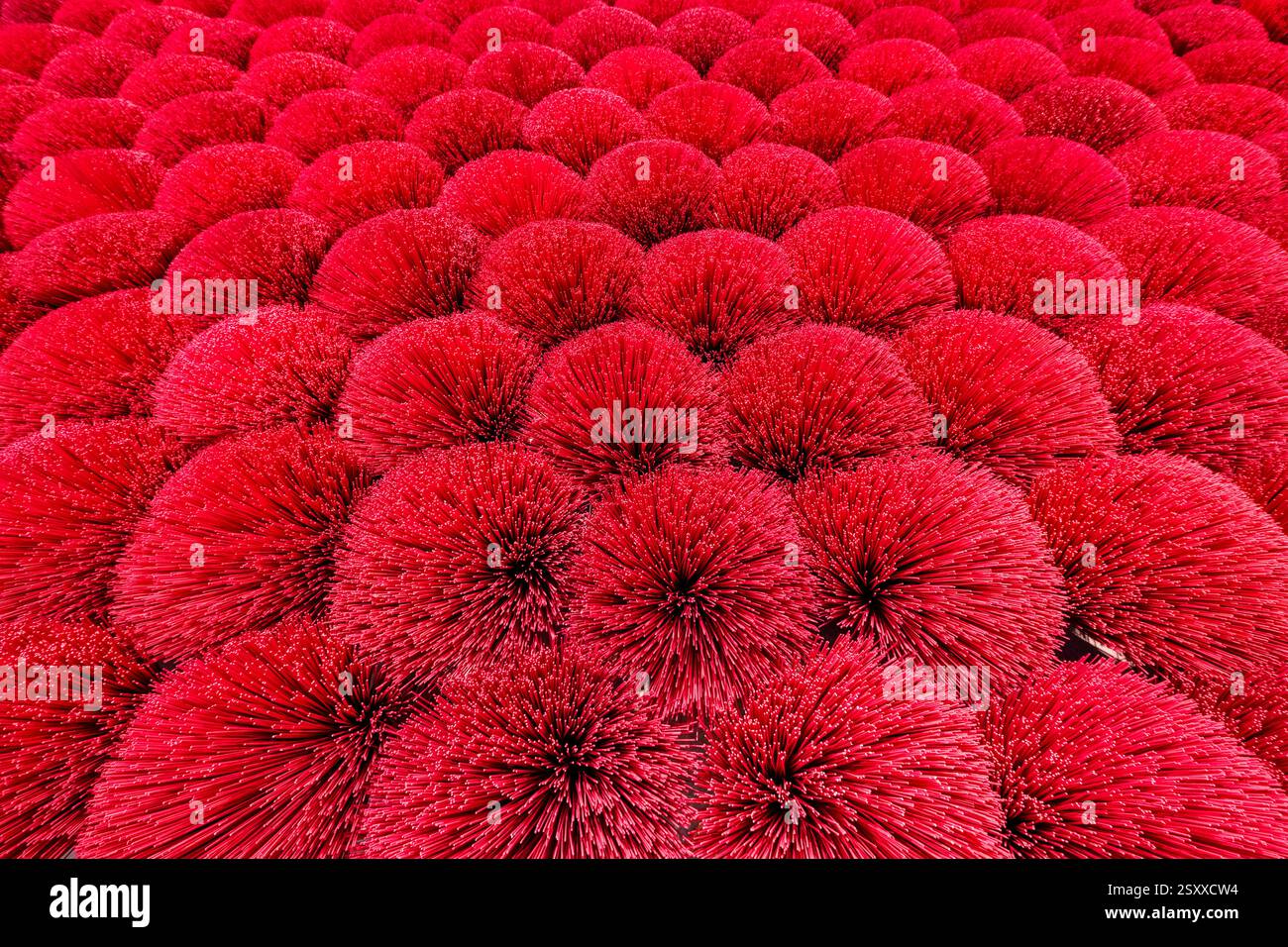 Red-coloured thin bamboo sticks in bundles for the production of ...