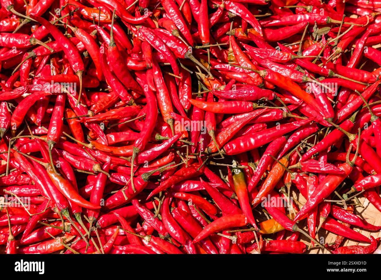 Red chilli peppers for sale at the weekly market in Mai Chau, Mai ChÃu ...