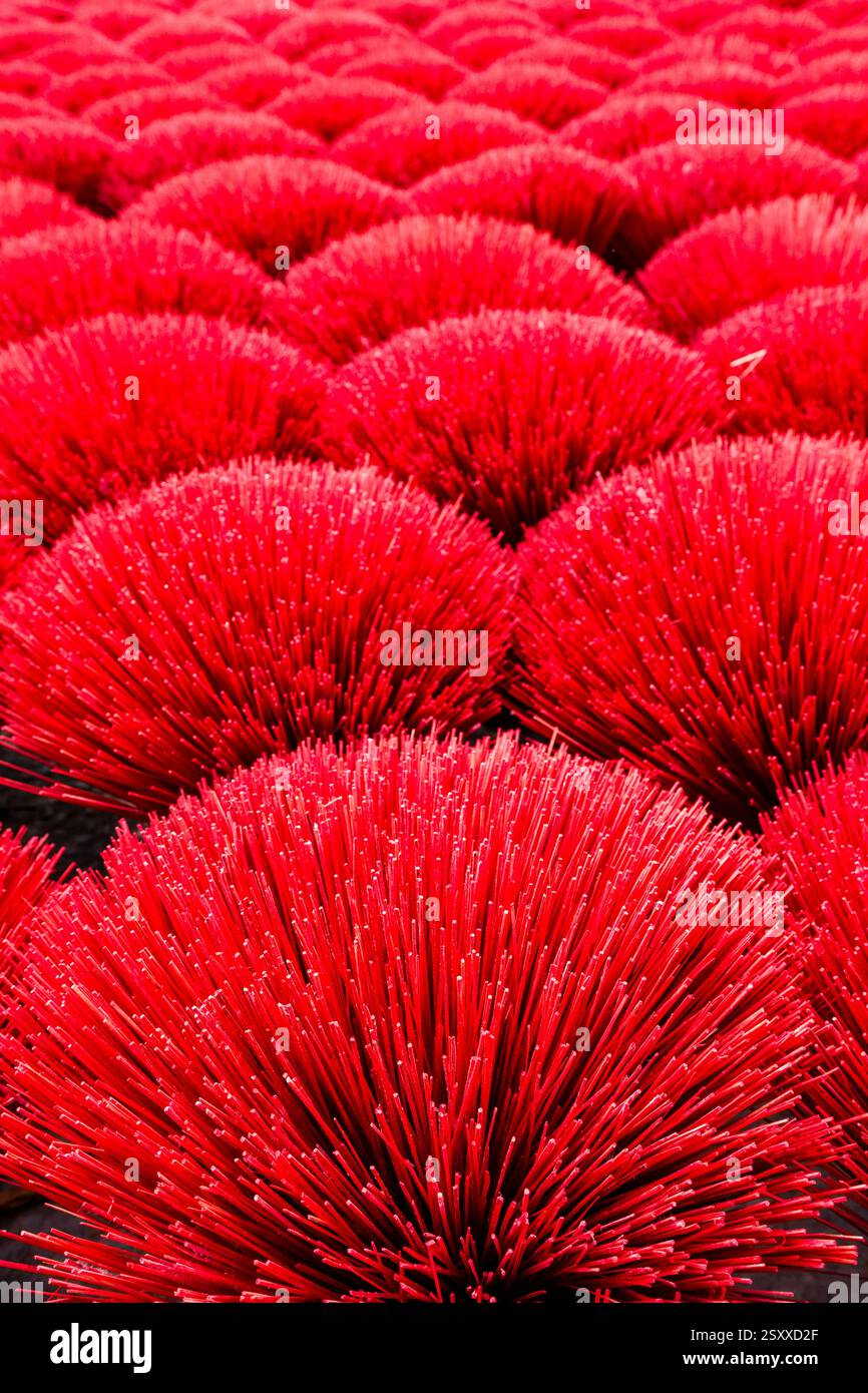 Red-coloured thin bamboo sticks in bundles for the production of ...