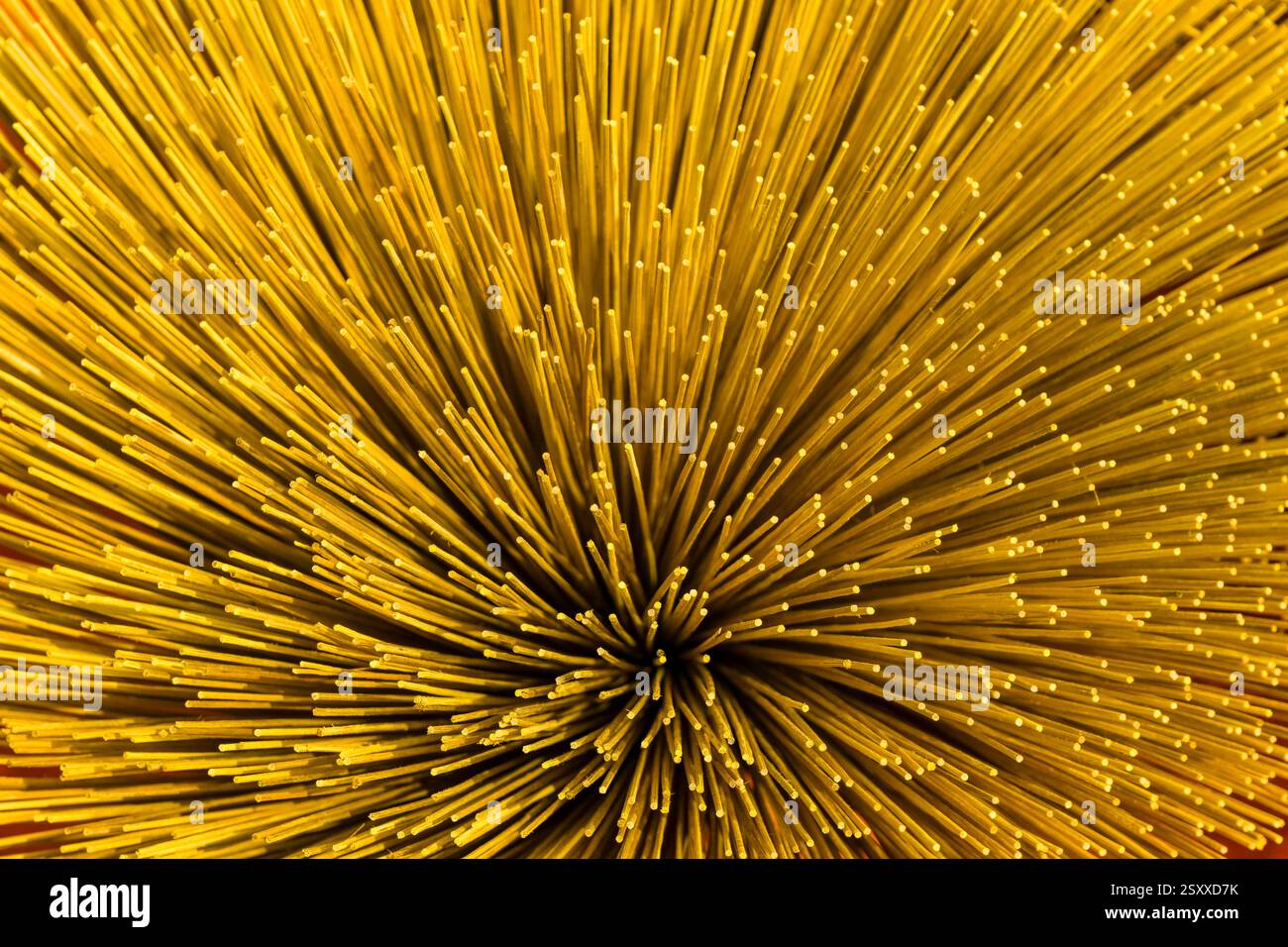 Close-up of yellow-coloured thin bamboo sticks in bundles for the ...