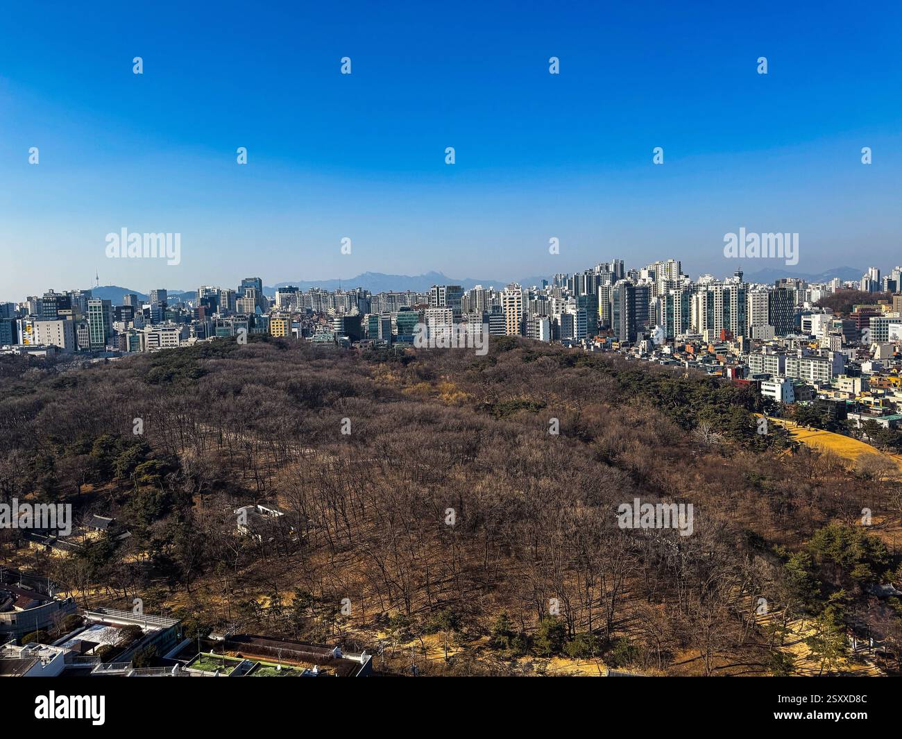 Seoul, Südkorea, Asien, Skyline, Hochhäuser, Stadtentwicklung ...